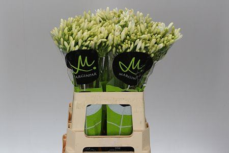 Flowers London 2pm-2am