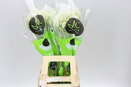 Flowers London 2pm-2am