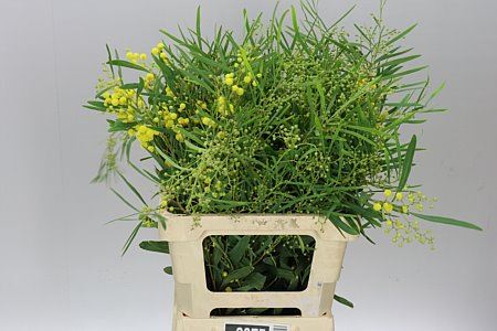 Flowers London 2pm-2am